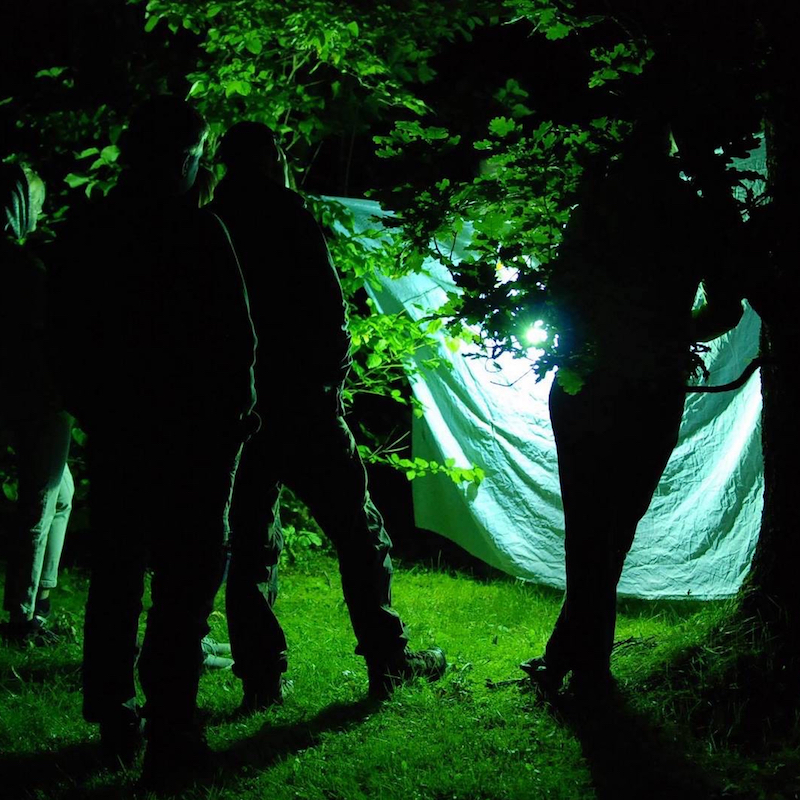 Insect Night Collection - Seto Folk